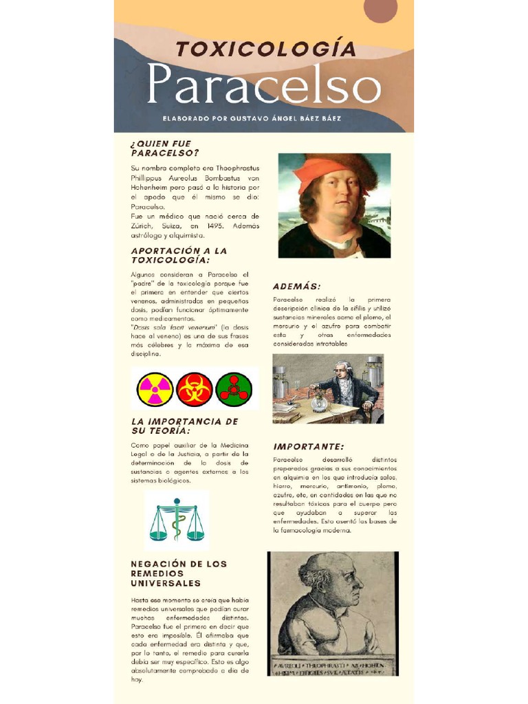 Infografía Paracelso | PDF
