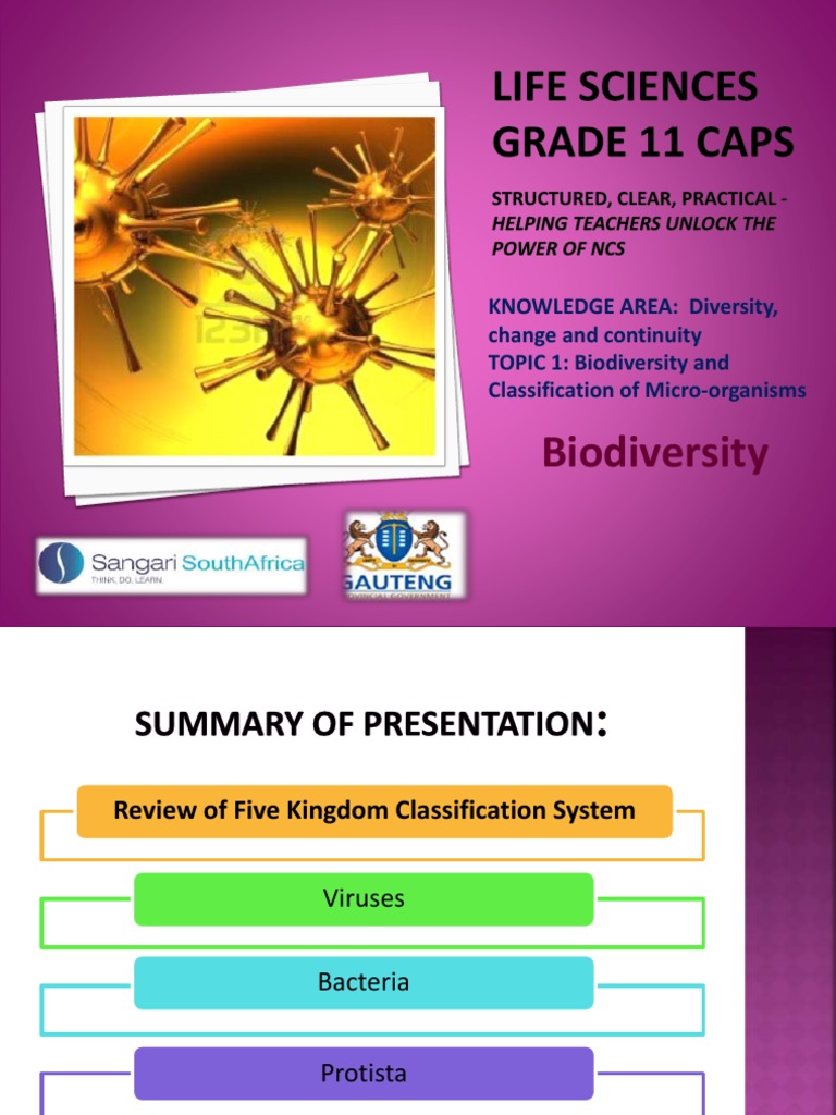 PP1 Diversity Change and Continuity Micro-Organisms | PDF