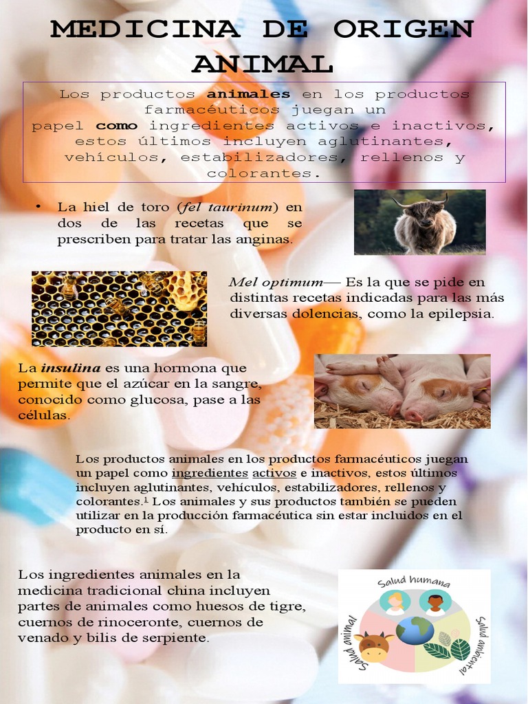Producto de Origen Animal | PDF