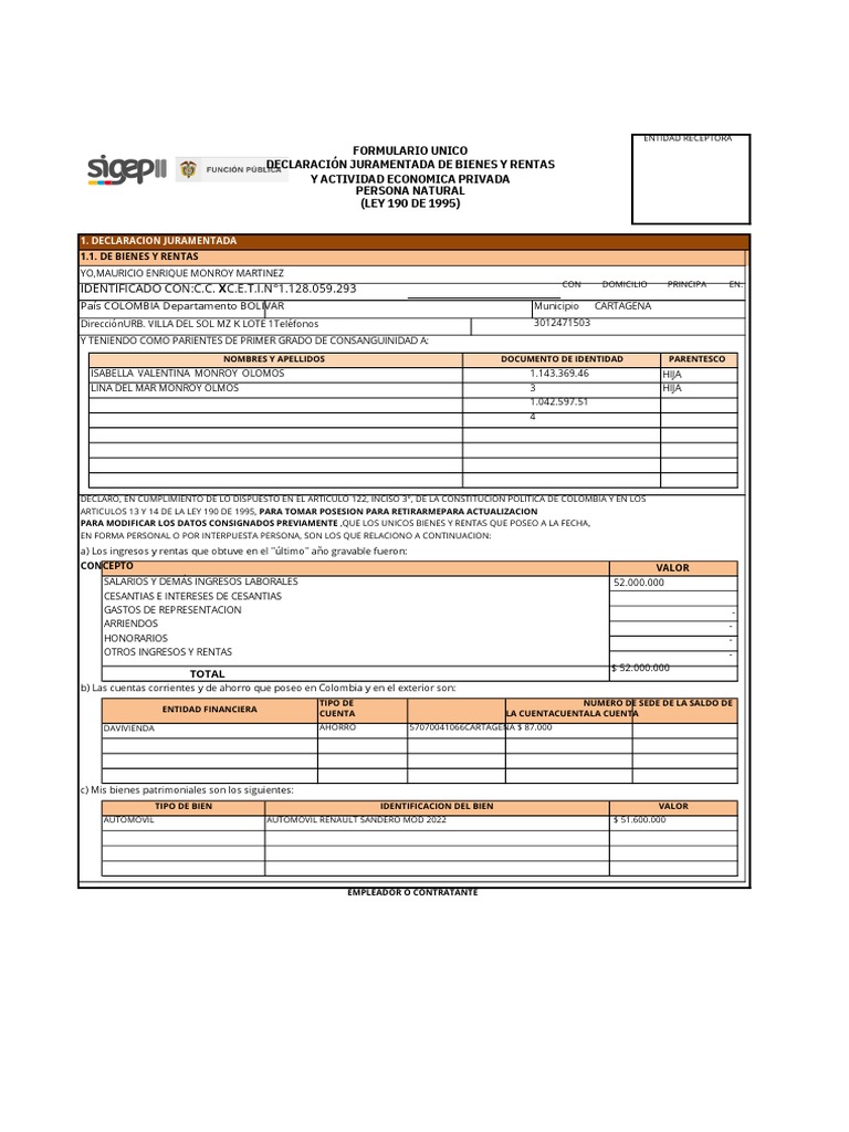 15) Formato Bienes y Rentas PDF | PDF