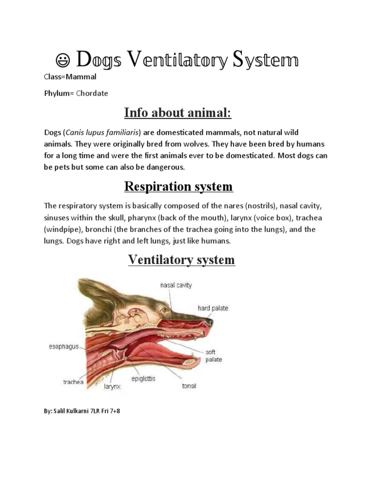Biology Poster | PDF | Science & Mathematics
