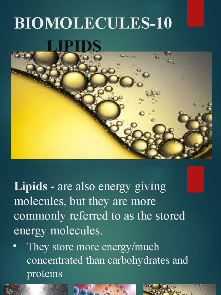 LIPIDS_ppt[1] | PDF