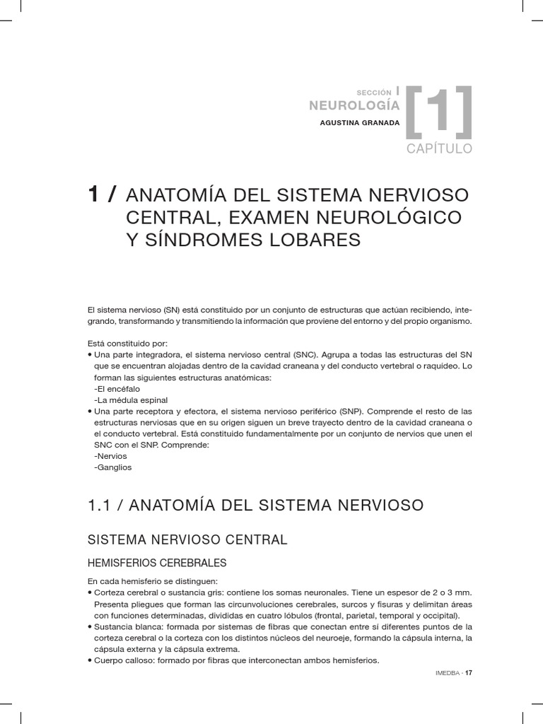 Med Interna Imedba | PDF | Sistema nervioso central | Fluido cerebroespinal