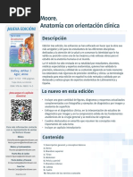 NBI Morton. Anatomía Macroscópica | PDF | Abdomen | Anatomía