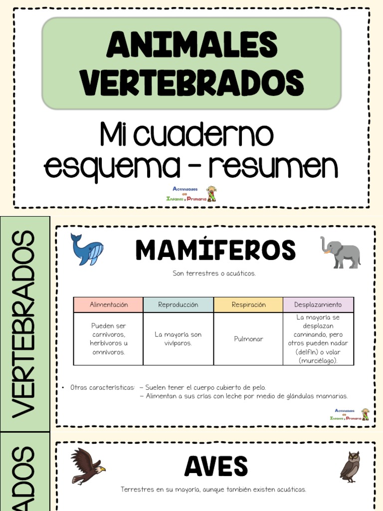 Cuaderno Animales Vertebrados | PDF | Vertebrados | Respiración