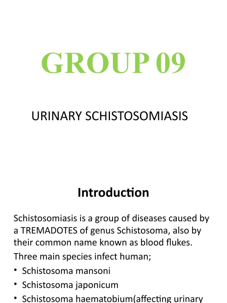 Urinary Schistosomiasis | PDF | Medicine | Health Sciences