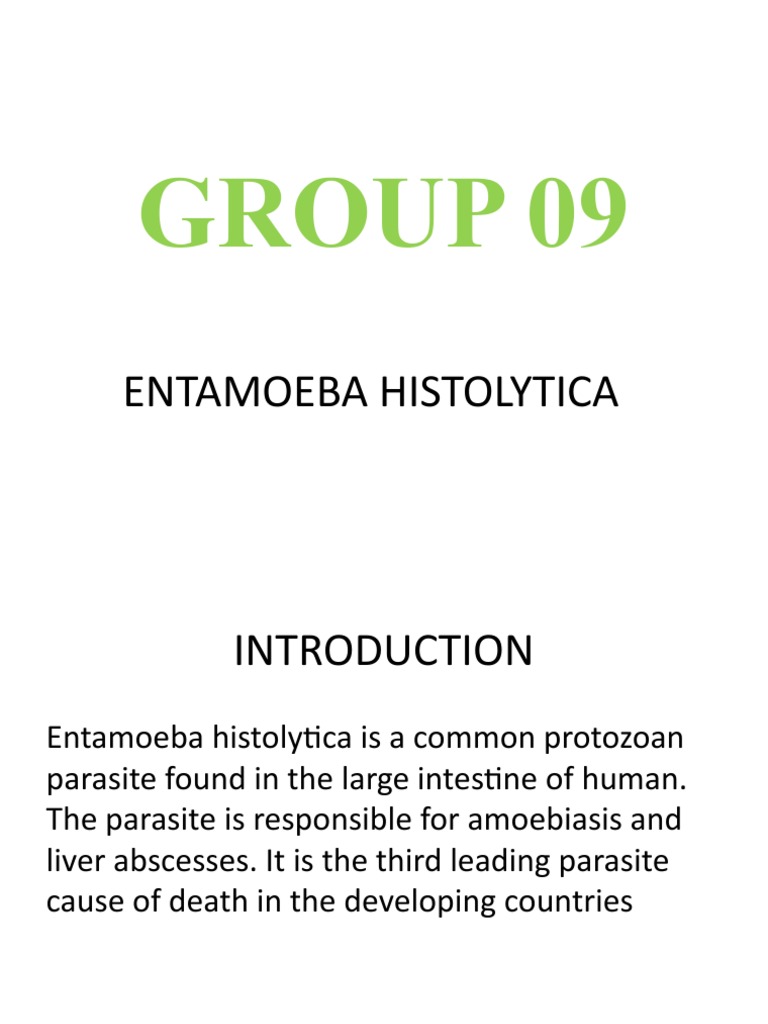 Entamoeba Histolytica Overview | PDF | Medical Specialties | Clinical ...