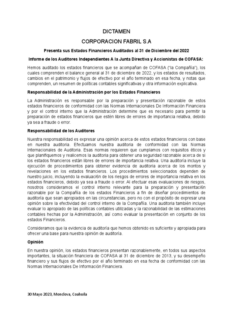 DICTAMEN | PDF | Auditoría | Estado financiero