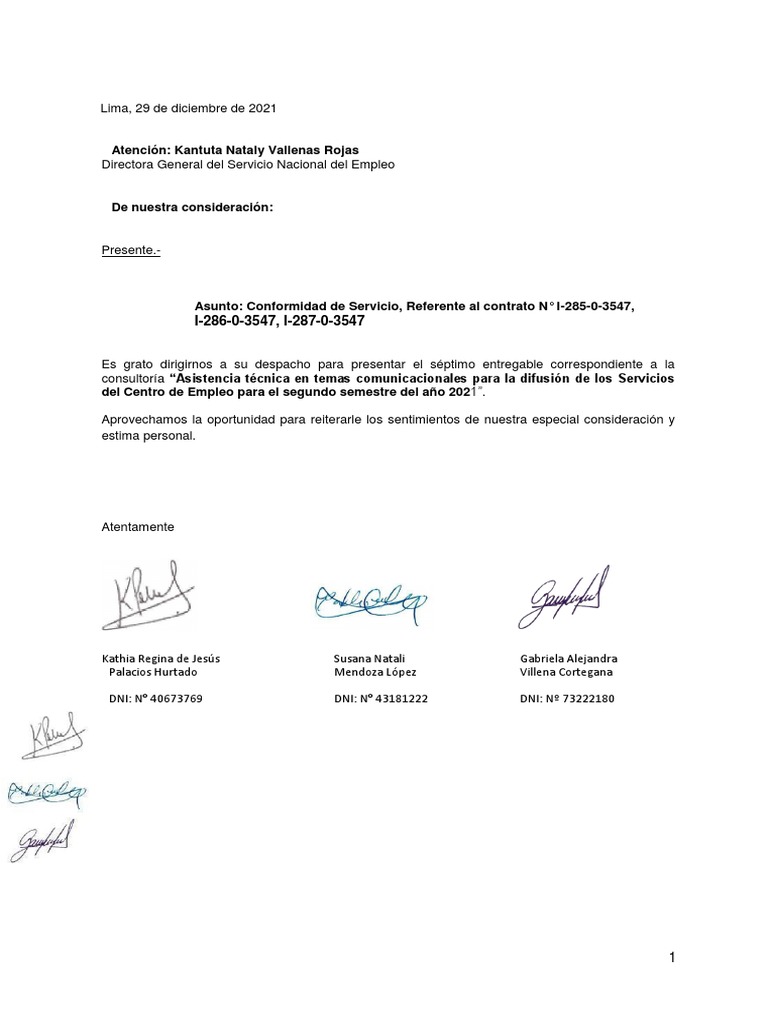 Entregable 07 - Informe Ejecutivo | PDF | Facebook | Perú