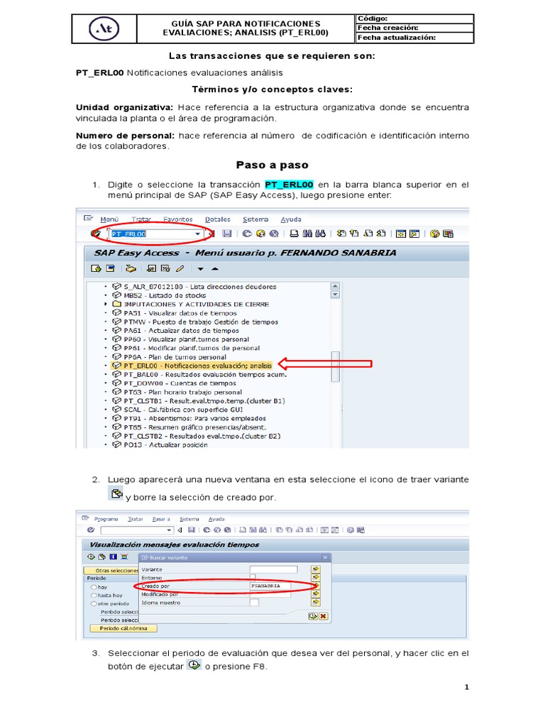 Guia SAP para Notificaciones Evaluacion Analisis (PT - ERL00) | PDF | Informática | Software