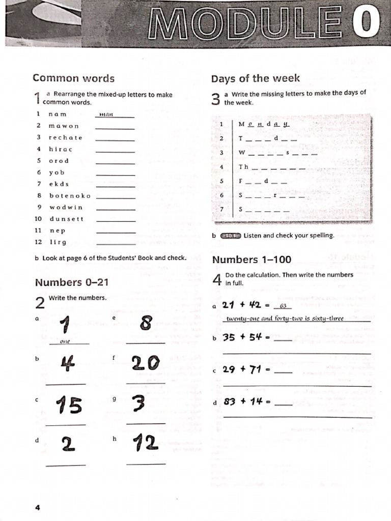 MODULE 0 Ingles | PDF