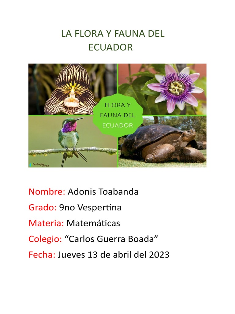 La Flora y Fauna Del Ecuador | PDF | Ecuador | Fauna