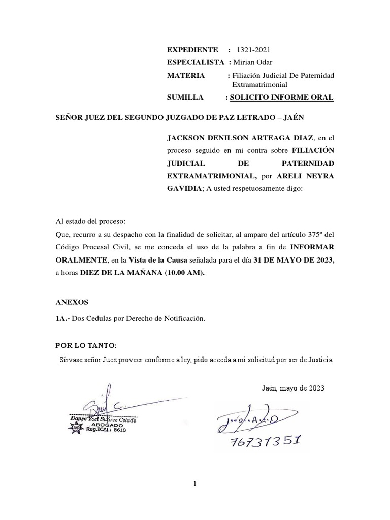 Solicito Informe Oral | PDF | Derecho