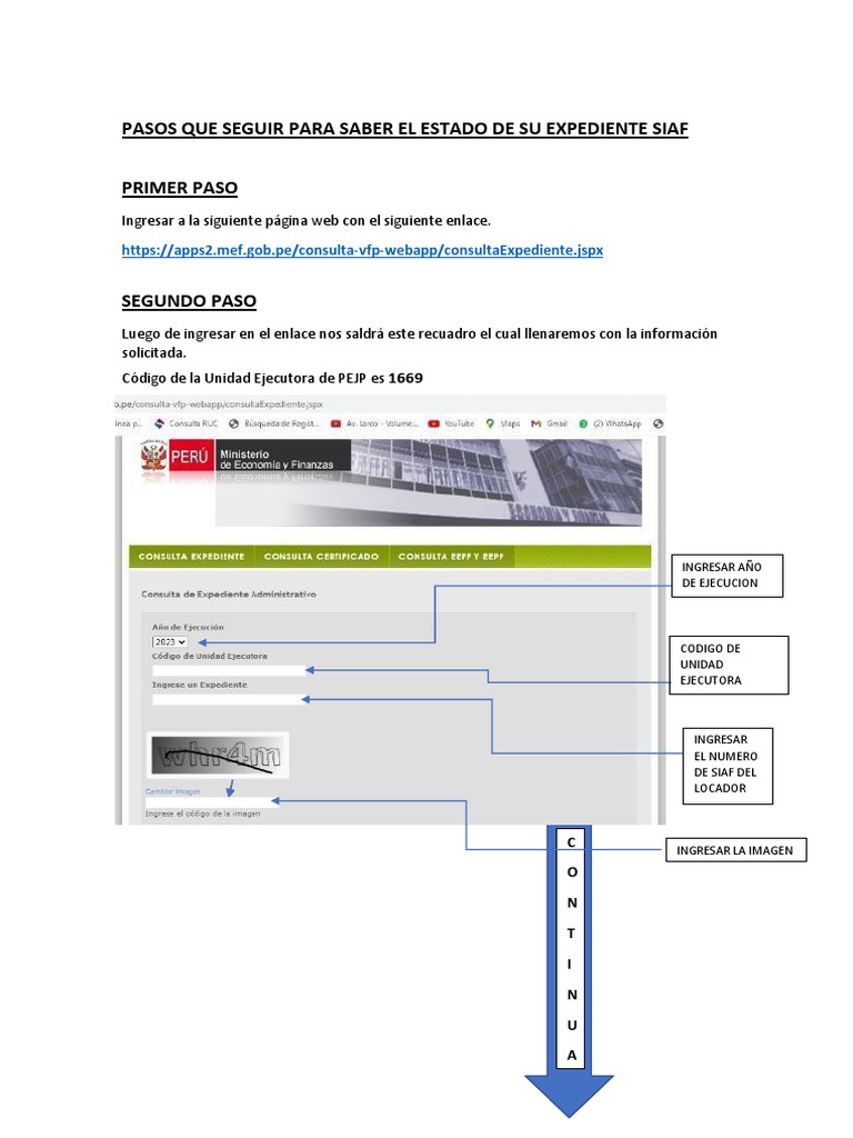 Pasos Que Seguir para Saber El Estado de Su Expediente Siaf | PDF