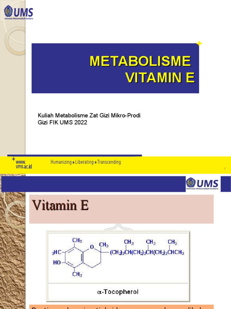 P6. Dwi Metabolisme Vitamin E | PDF
