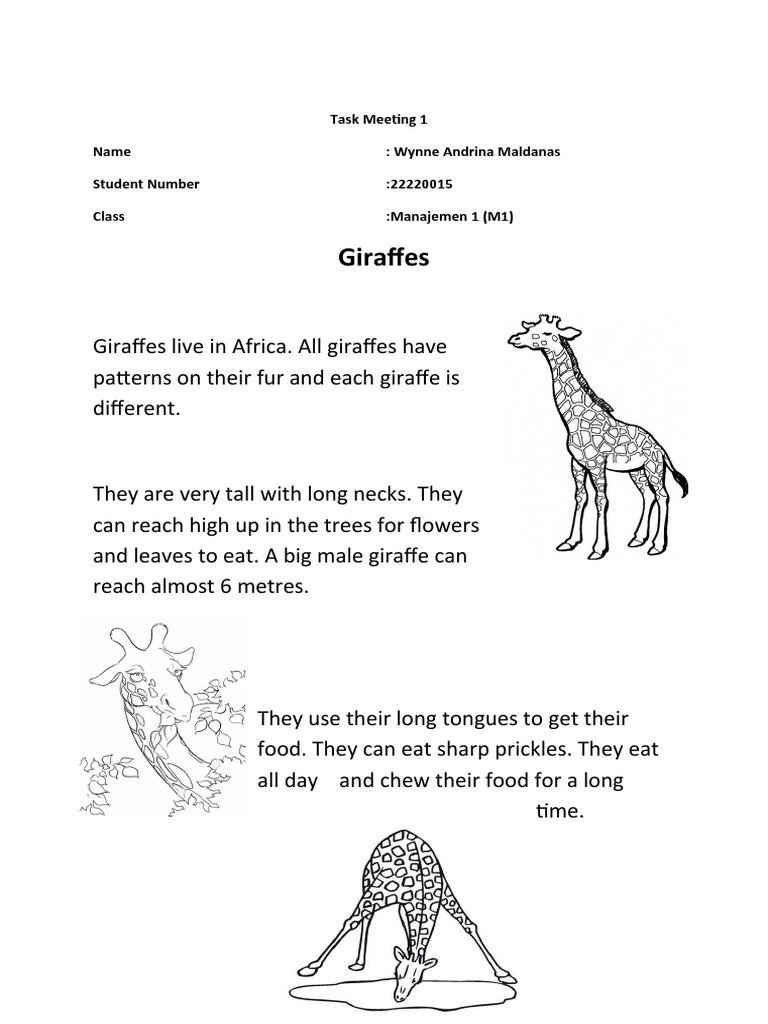 Meeting 1 Homework | PDF | Giraffe | Linguistics