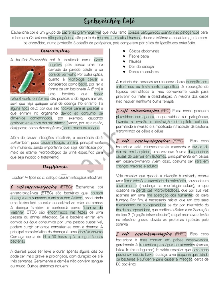 6° - Escherichia Coli | PDF | Escherichia Coli | Diarreia