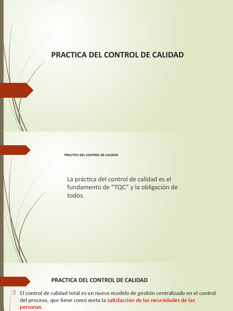 Practica Del Control de Calidad | PDF | Calidad (comercial) | Planificación
