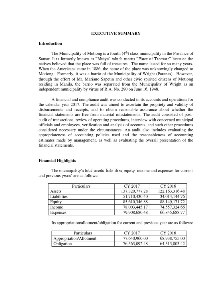 Motiong Executive Summary 2017 | Download Free PDF | Audit | Business