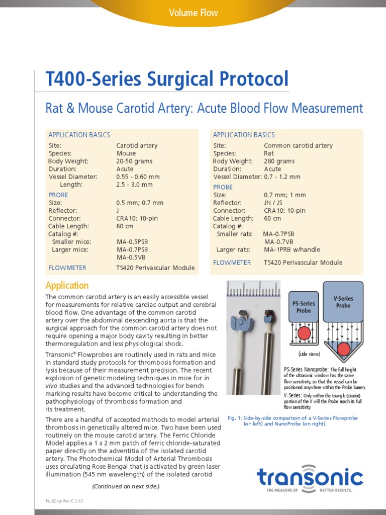 Rat & Mouse Carotid Artery Acute Blood Flow (RL-62-sp) | PDF ...