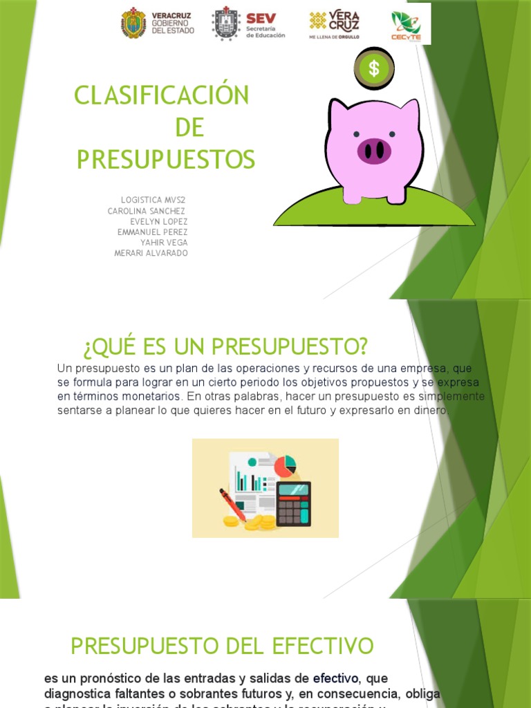 Presupuesto Clasificación | PDF | Presupuesto | Sector privado