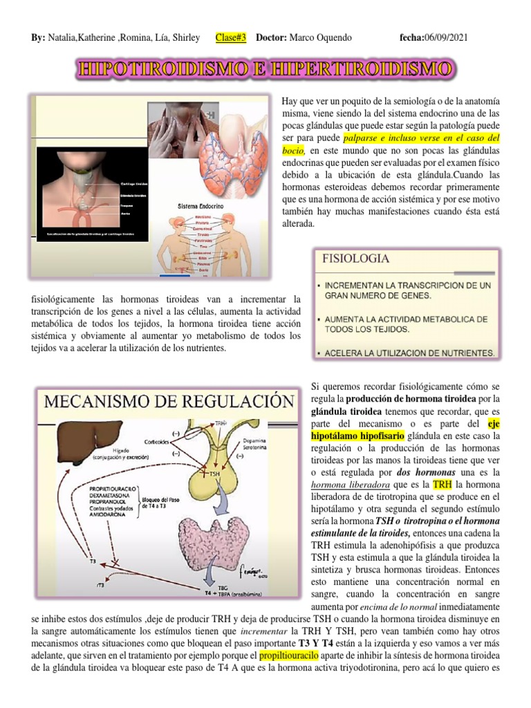 Semio 3 - Hiper e Hipotiroidismo | PDF | Hipertiroidismo | Tiroides