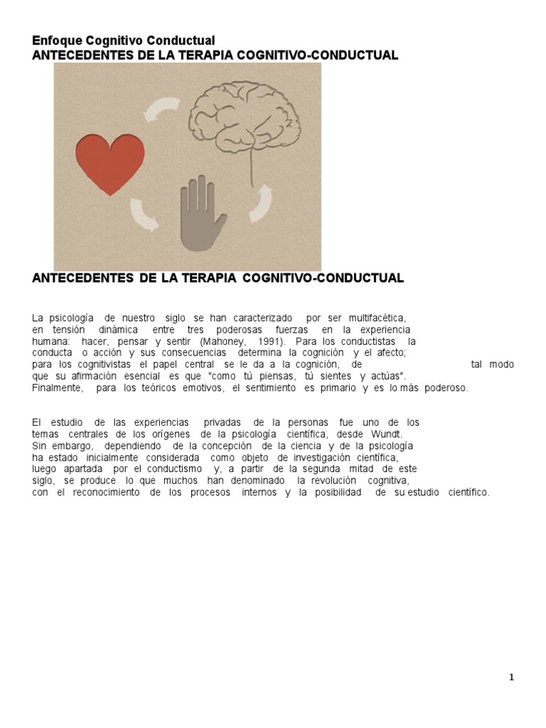 Enfoque Cognitivo Conductual | PDF