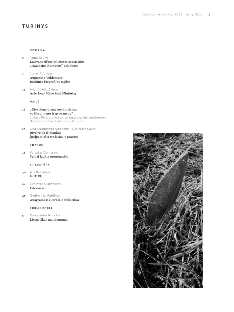 Turinys: Naujoji Romuva | PDF