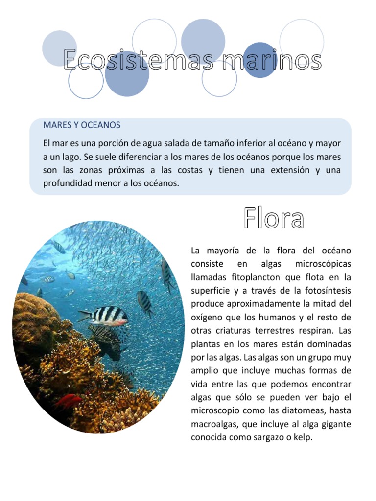 Ecosistemas | PDF | Mangle | Mar