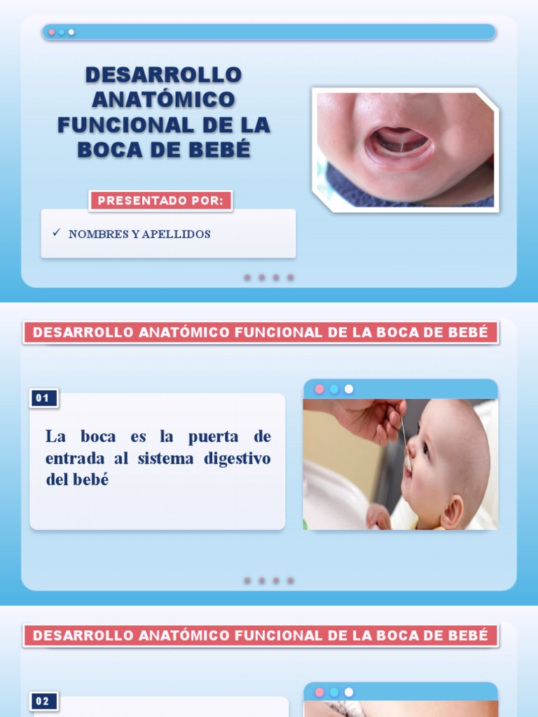 Ppt-Estructura de La Boca Del Bebe | PDF | Boca | Amamantamiento