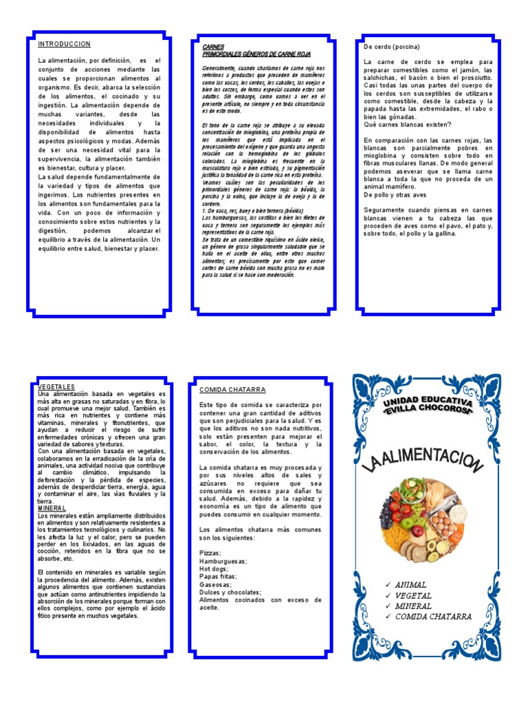 Triptico Alimentacion | PDF | Alimentos | Carne