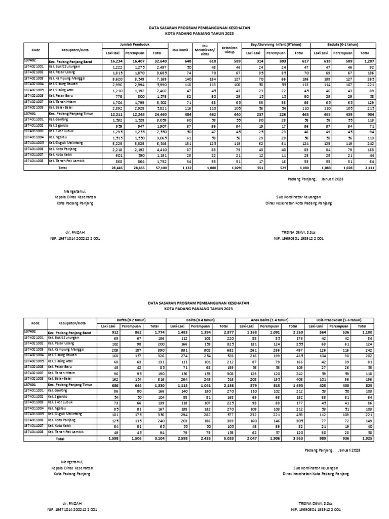 Data Sasaran 2023 Rekap | PDF
