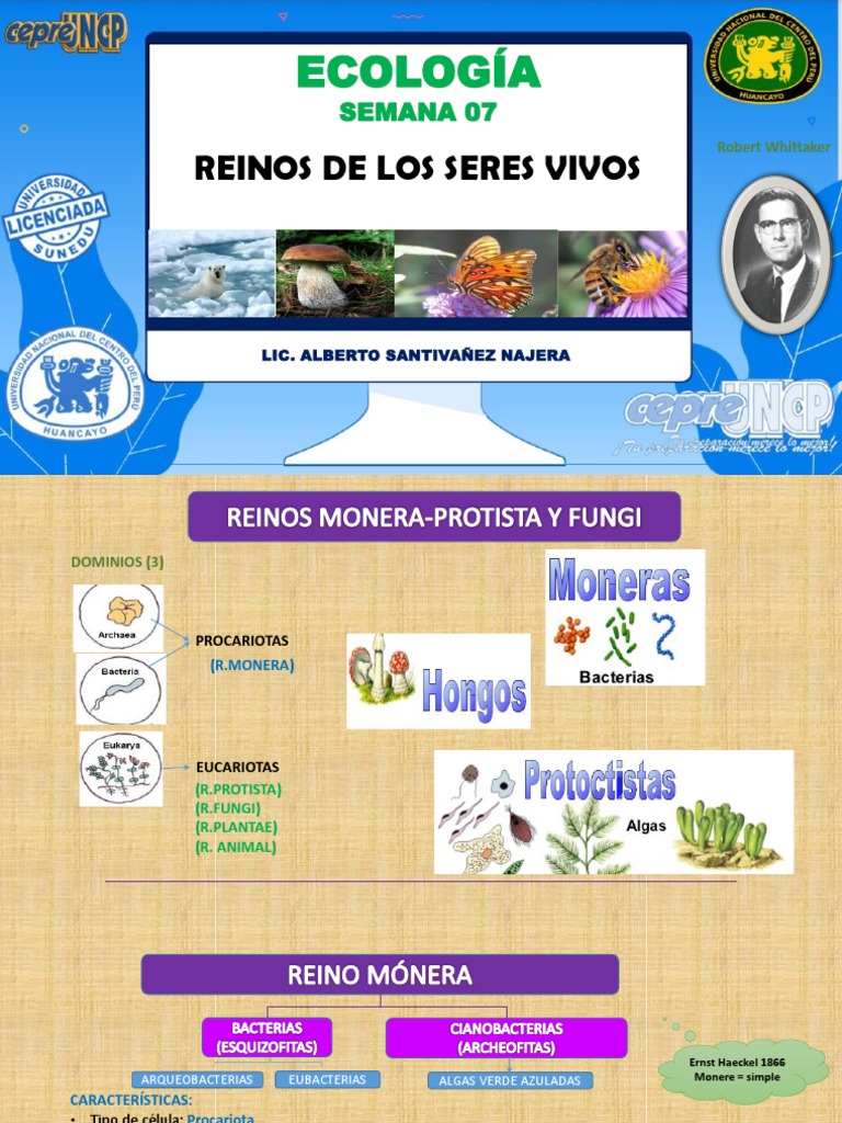 Reinos Monera, Protista y Fungi (ACTUALIZADO) | PDF | Algas | Las bacterias