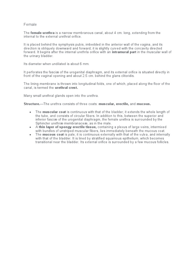 Female | PDF | Genitourinary System | Urology