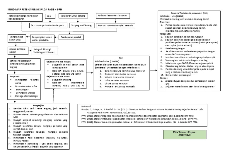 Minggu 4 - Elita Trinanti Prayuni - Mind Map Eliminasi Urine | PDF