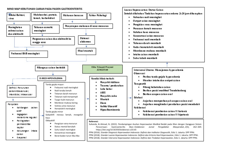 Mind Map Kebutuhan Cairan Pada Pasien Gastroenteritis | PDF
