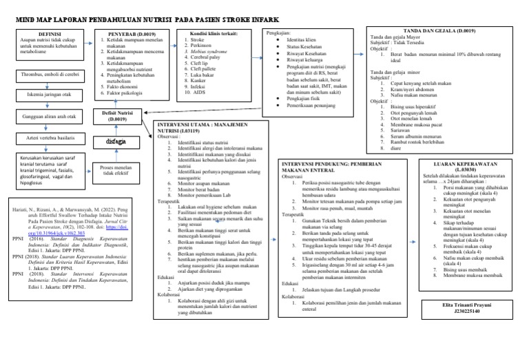 Mind Map Nutrisi Pasien Stroke | PDF