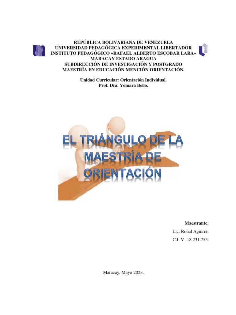 Orientación Individual 1 | PDF | Enseñando | Pedagogía