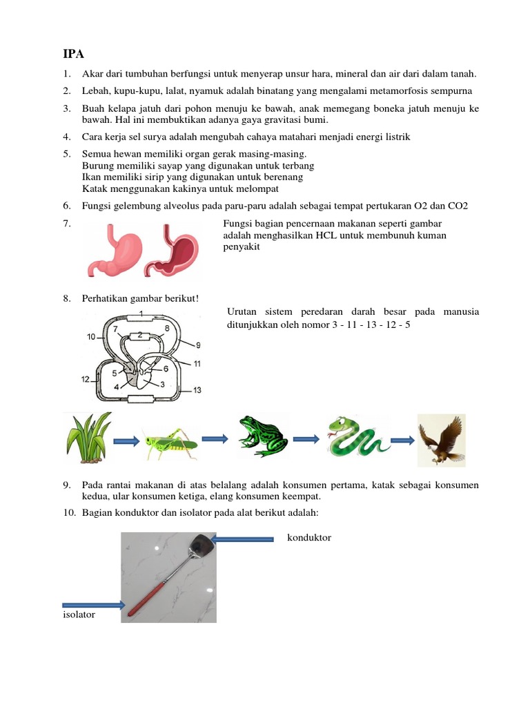 Soal IPA | PDF | Ilmu Sosial