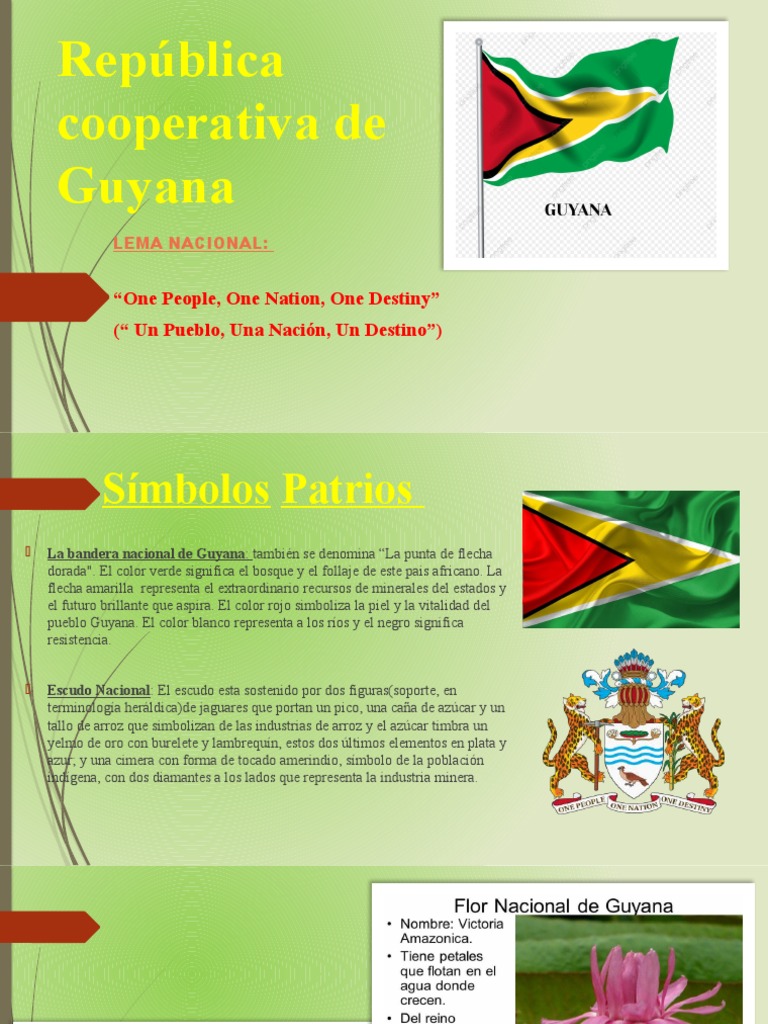 Información sobre Guyana y sus símbolos | PDF | Guayana | Inflación