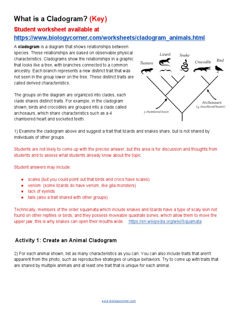 Whatisa Cladogram KEY | PDF