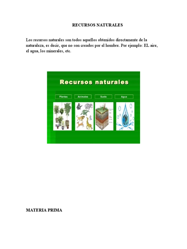 Recursos Naturales | PDF