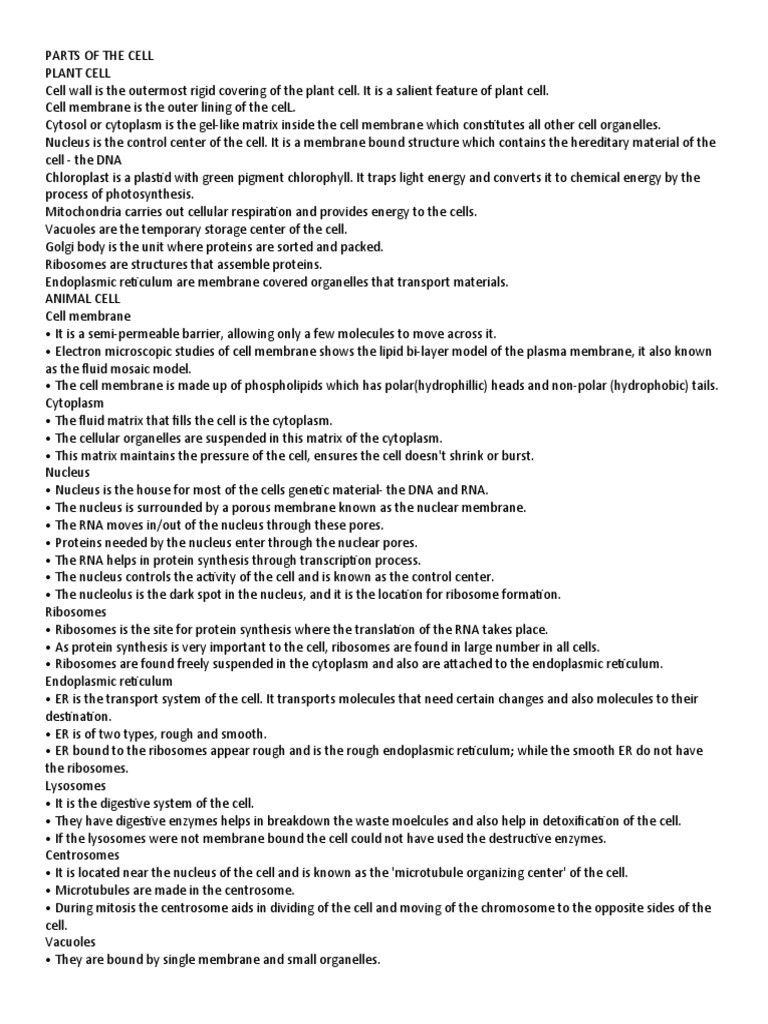 Parts of The Cell | PDF