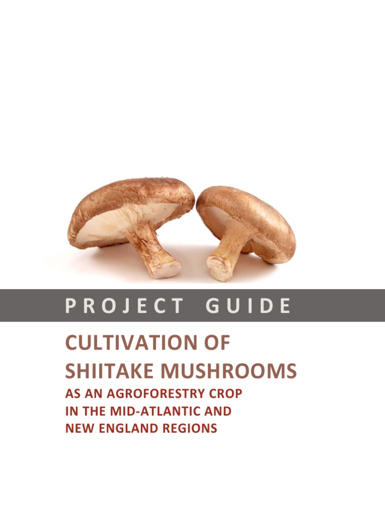 Cultivation of Shiitake Mushrooms | PDF