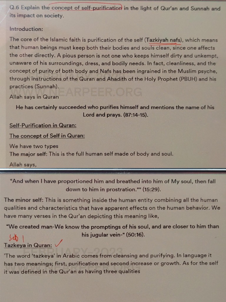 Islamic Studies Solved Past Papers 3 Pdf Quran Islam