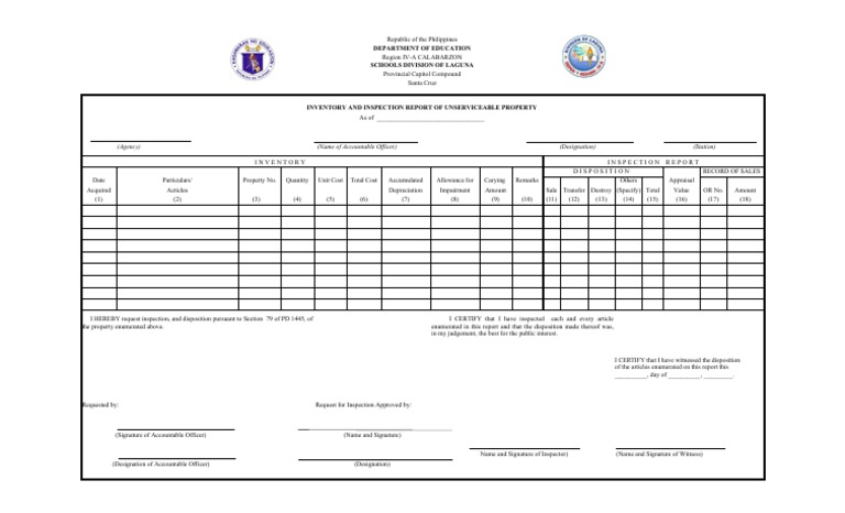 Iirup Form | PDF | Business Economics | Financial Accounting