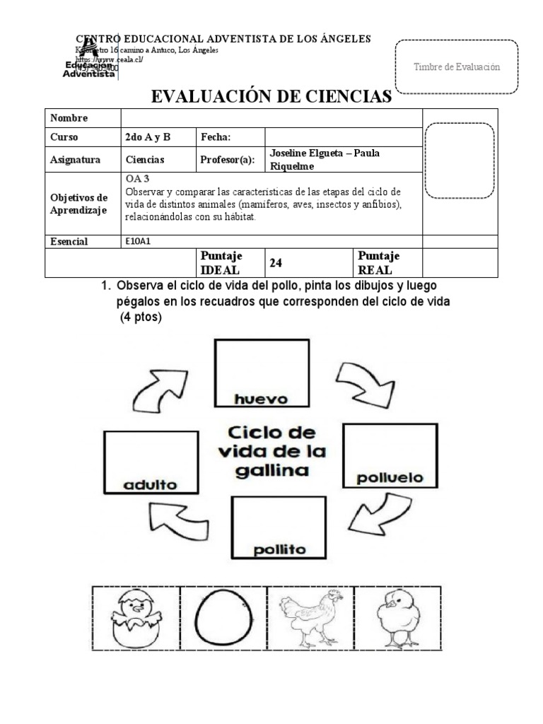 Actividades del Ciclo de Vida para Primaria | PDF | Libros para ...