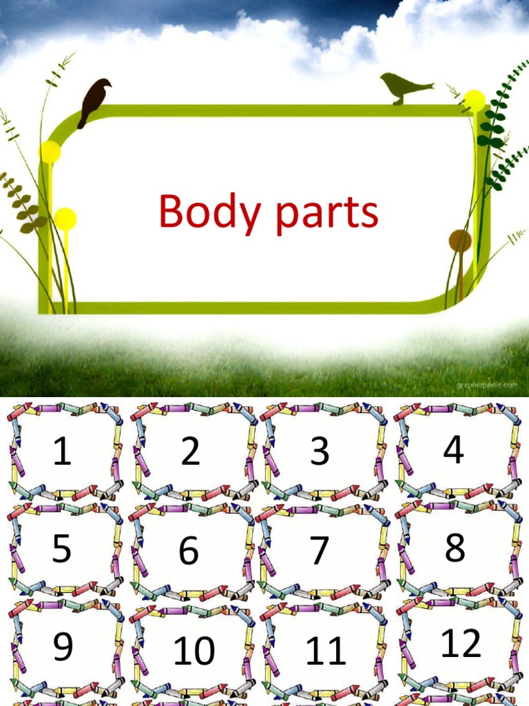 FF1. Unit 3, Body Parts | PDF | Hand | Anatomy