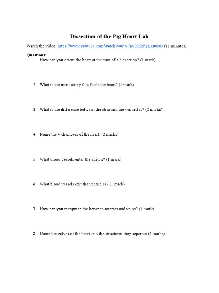 Virtual Heart Dissection Lab Questions | PDF