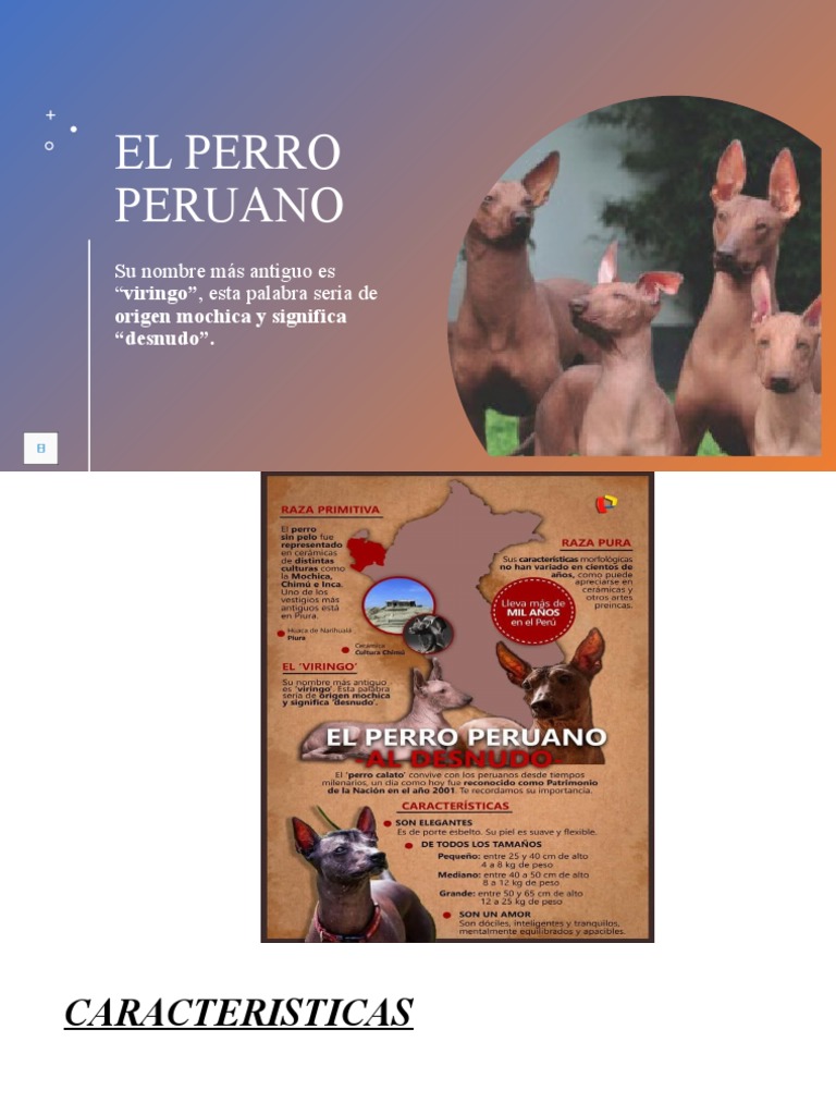 El Perro Peruano | PDF